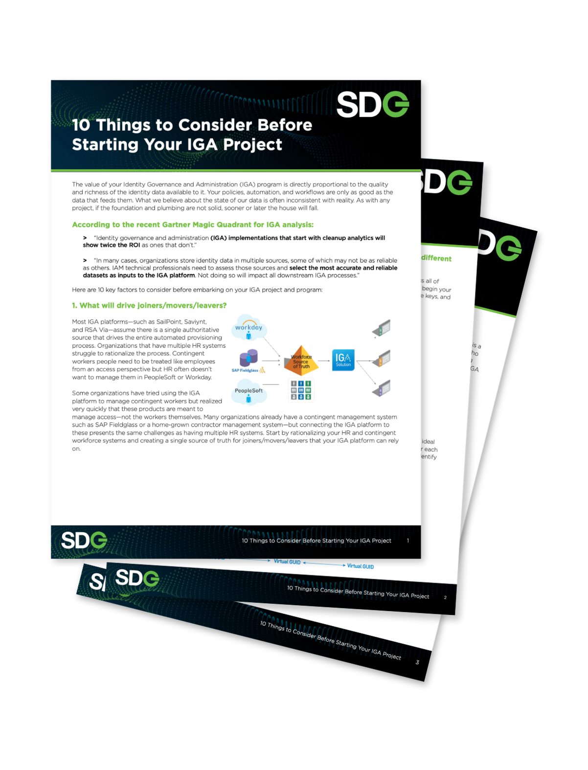 10 Things to Consider Before Starting Your IGA Project - SDG Corporation