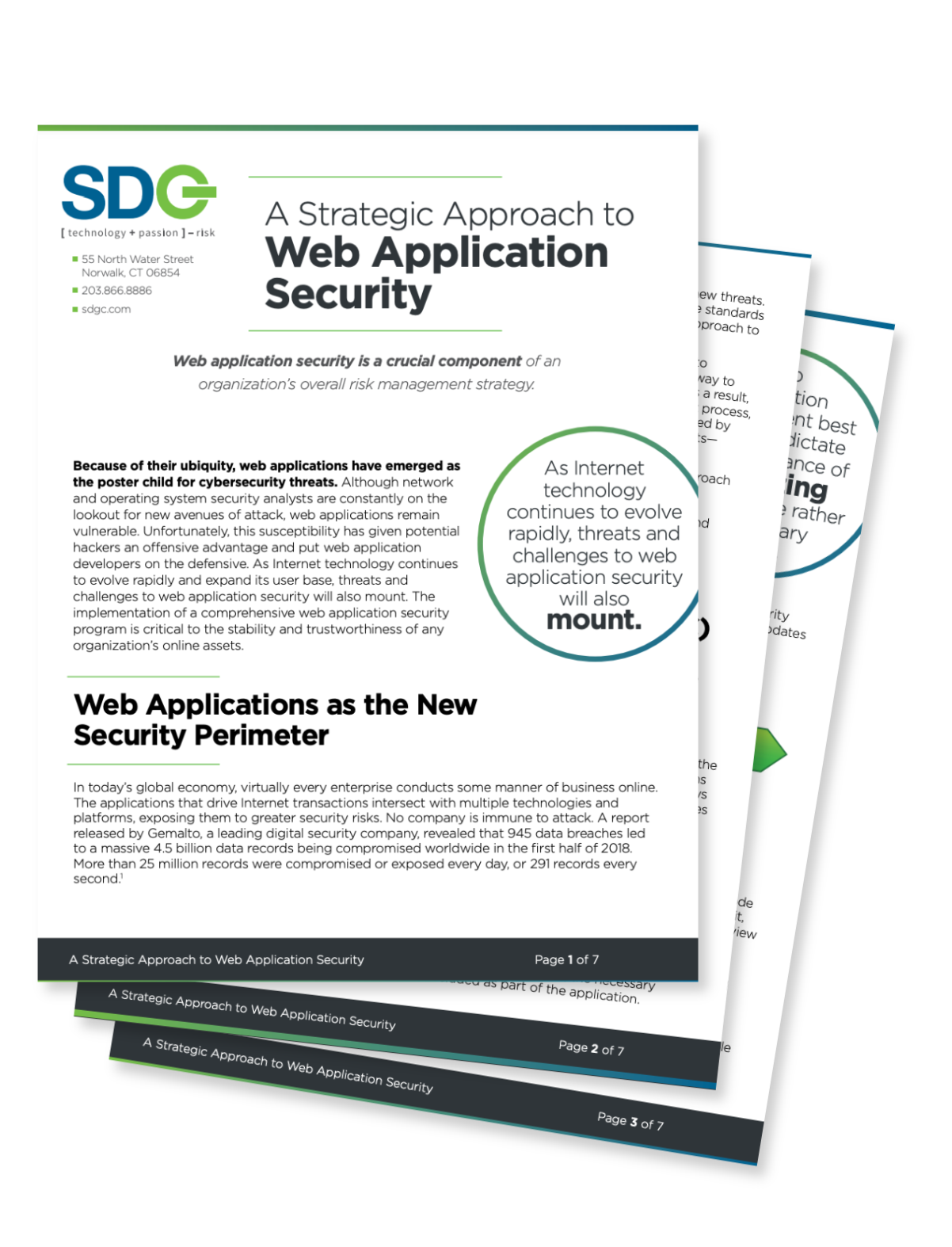 A Strategic Approach to Web Application Security - SDG Corporation